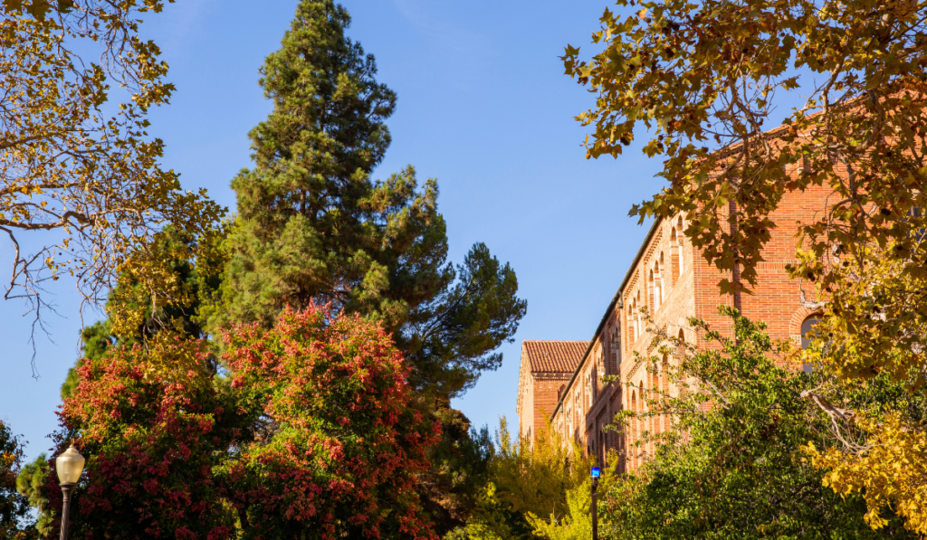 Fall Quarter Begins - UCLA School of Education & Information Studies